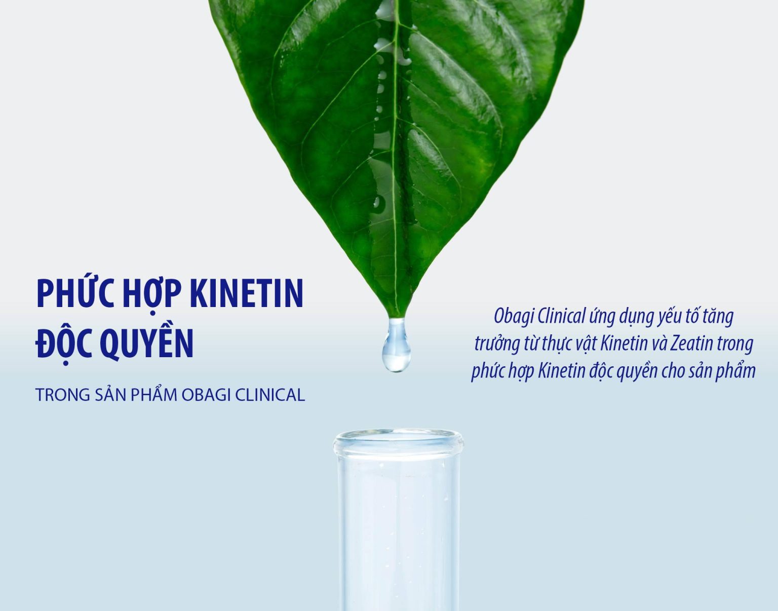 CẶP ĐÔI OBAGI PHỨC HỢP KINETIN - CỨU TINH DƯỠNG DA CẤP ẨM DA MÙA HÈ